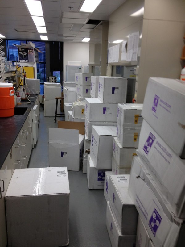 LAB LIFE - Korendovych Lab – Syracuse University